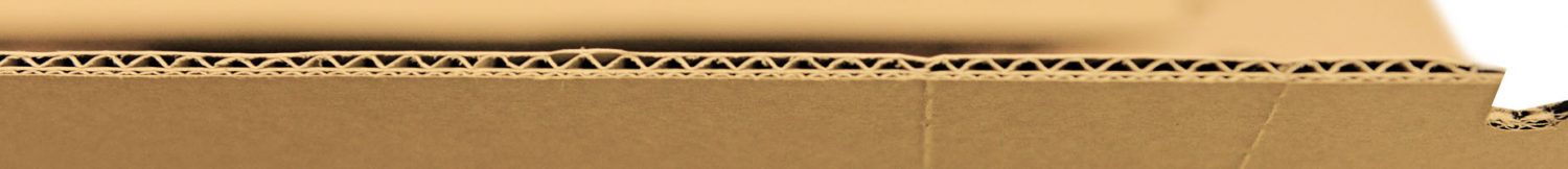 “QUiCK Lock uno” box with lid closure and fast assembly base